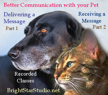 Animal Communication Part 1 and 2 Recorded Classes - Bright Star Studio