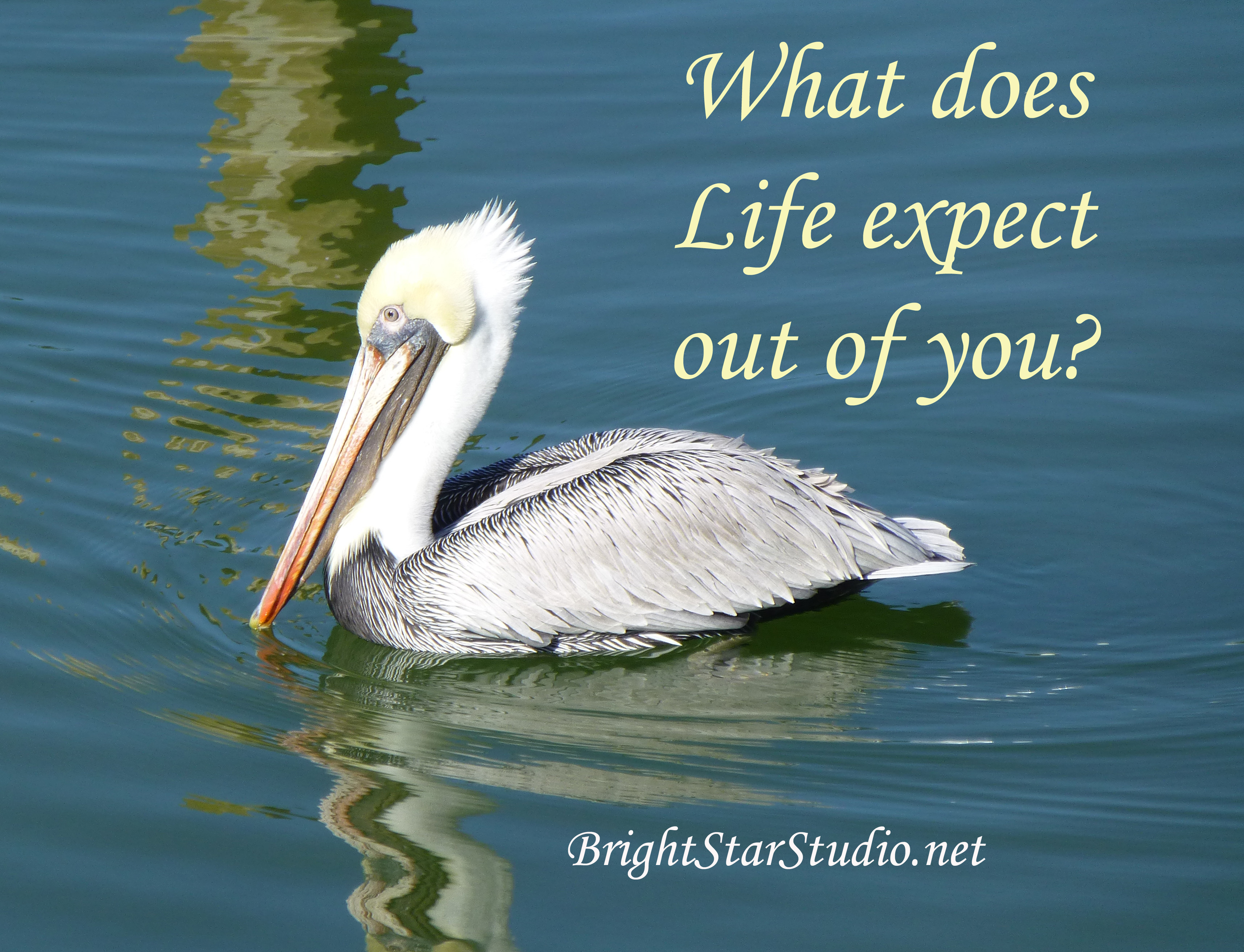 Understanding Life Expectations